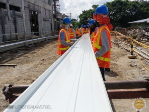 Long Span Metal Roof Guide: What is a Long Span Roof?